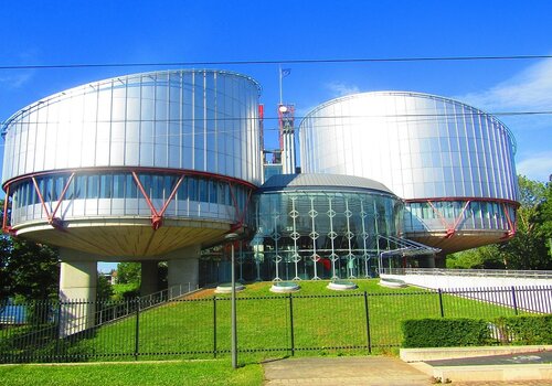 Ricorso CEDU: modello PDF e guide