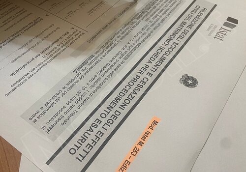Modello Istat divorzio 2023 editabile Modello Istat divorzio 2023 editabile